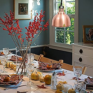 COTCLO Food Heat Lamp Convenient Adjustable Heat Lamp Restaurant or Home Food Service