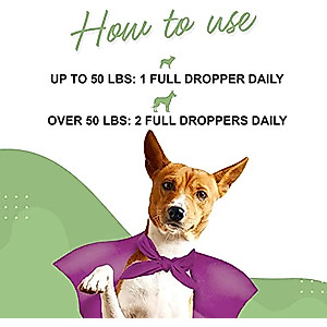 Wonder Paws Milk Thistle for Dogs, Liver Support for Dogs, Supports Kidney Function for Pets, Detox, Hepatic Support, with Wild Alaskan Salmon Oil & Curcumin, Omega 3 EPA & DHA - 2 oz Pet Supplement