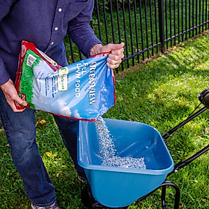 GreenView Fall Lawn Food - 16 lb. Bag - Covers 5,000 sq. ft.