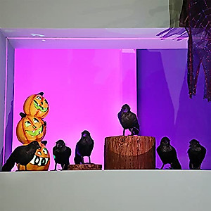 ATDAWN 6 Pack Halloween Black Feathered Crows, Realistic Looking Halloween Birds Decoration