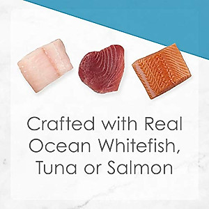 Purina Fancy Feast Wet Cat Food Variety Pack, Grilled Feast & Medleys Seafood Collection - (45) 3 oz. Cans