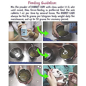 RANDOLPH Cavy Food Care 70 g. IMMUNOSTIMULANTS & Vitamin C Supplement Recovery & Booster Energy for Guinea Pig & Herbivores Small Pet, Probiotics Improved Digestion Best Prevent Healthy Rabbit Feed