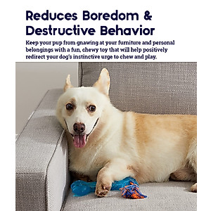 Petstages Orka Bone Royal Blue Treat-Dispensing Dog Chew Toy