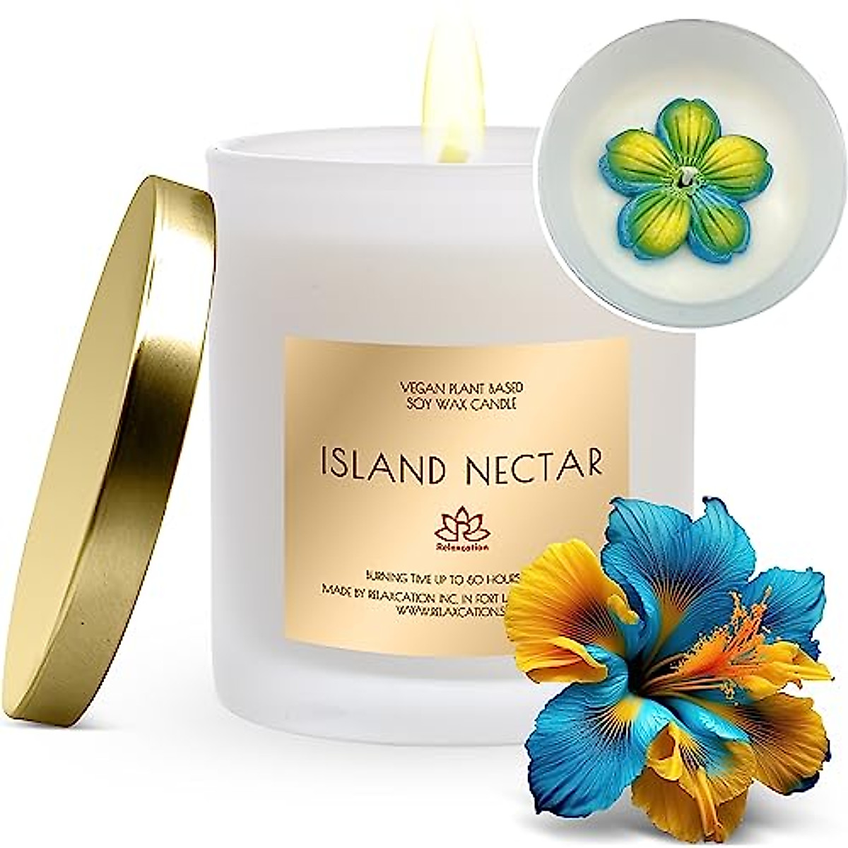 Highly Scented Candle with Island Nectar Aroma | Natural Clean-Burn Eco-Friendly Soy Wax | Handmade in USA in Big Glass Jar and Giftable Box | Burn Up to 80 Hours | Gift for Her