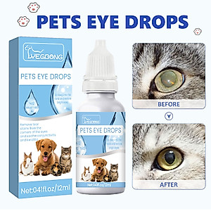 AusuB Pet Gel Eye Drops，Pets Eye Drops，Therapeutic Eye Lubricating Drop for Dog & Cats，Eye Solution for Severe Dry Eyes,Effective Dog Eye Infection Treatment (3Pcs,Blue)