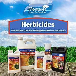 Monterey LG5285 Whacker Herbicide Concentrate, Broadleaf Weed Killer for Lawns, 32 oz
