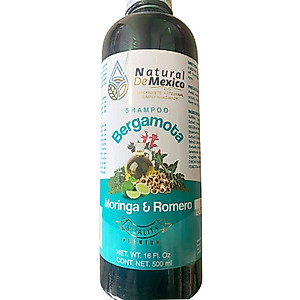 Shampoo de Bergamota Organico con Moringa y Romero Shampoo 16 Fl Oz Enriquecido Premium Quality