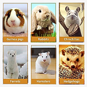 Fhiny 2 PCS Guinea Pig Cage Liner, 39'' x 27'' Reusable Guinea Pig Bedding Washable Small Animal Pee Pads Waterproof Cage Liners for Guinea Pigs Rabbits Ferrets Chinchillas Hedgehogs