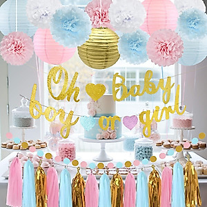 Kiwayo Baby Gender Reveal Party Decorations Supplies Kit Blue & Pink- Boy or Girl Banner, Tissue Paper Poms, Paper Lanterns, Circle Dot Garland, Tassels Garland- Gender Reveal Ideas Boy Or Girl