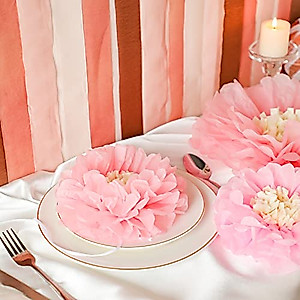 Komiikka Tissue Paper Flowers Decorations for Wall, Tissue Pom Poms Chrysanth Flowers DIY Crafting for Baby Shower, Girl Birthday Party, Nursery Wall Decorations (White Pink)