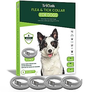 TriOak Flea Collar for Dogs: Advanced Dog Flea Collar - Tick Collar for Dogs - Flea and Tick Collar for Dogs - Dog Flea and Tick Collar - Dog Tick Collar, Color: Gray, 4 Pack