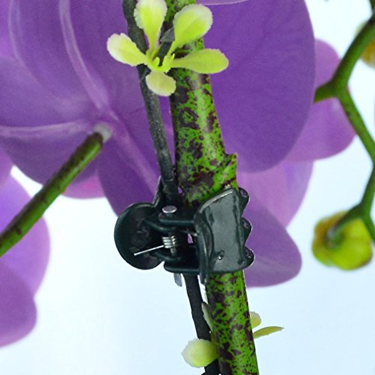 baotongle 100 pcs Plant Clips, Orchid Clips Plant Orchid Support Clips Flower and Vine Clips for Supporting Stems Vines Grow Upright Dark Green