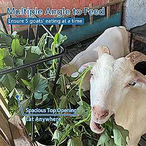 QVQE Hay Feeder Goat, 18 Gallon Multiple Sided Goat Hay Rack, Heavy Duty Iron Wall Hay Rack for Sheep with Detachable Grain Tray, Effortless Installation in Farm, Yield… (2 in 1)