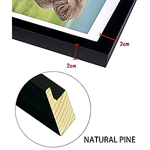 WOFFMX 18x22 Diamond Painting Picture Frames 16x20 Diamond Art Frames Wood ,Display Pictures16x20 Inch/ 40x50 cm with Mat or 18x22 Inch/45x55cm Without Mat, Diamond Embroidery Photo Frame 14x18 Diamond Art Frames Black (YK05p)