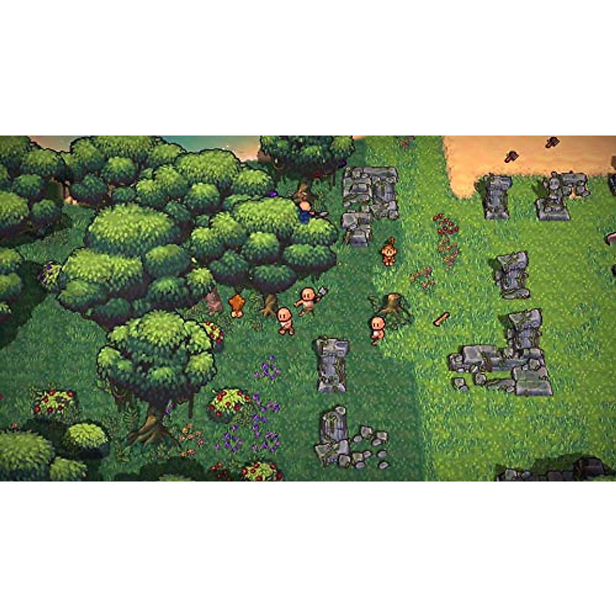 The Survivalists - Nintendo Switch