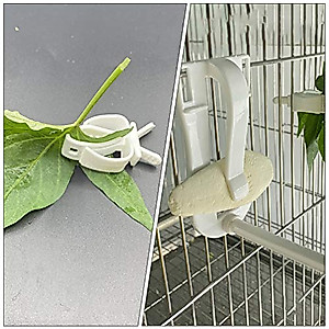 POPETPOP 2pcs Pet Treat Clips Plastic Cuttlebone Treat Holder Clamp Cuttlebone Holder