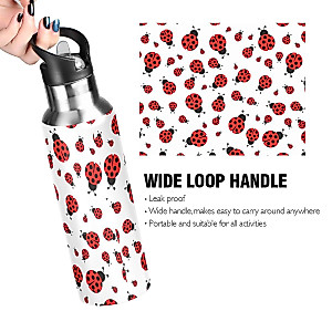 xigua Ladybug Water Bottle Double Walled Stainless Steel Leak Proof Thermo Flask for Sports Gym Cycling Outdoor,33 oz.