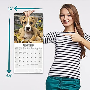 American Staffordshire Terrier Calendar - Dog Breed Calendars - 2022 - 2023 wall calendars - 16 Month by Avonside