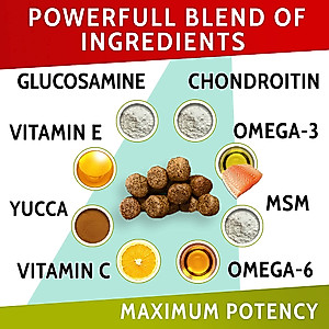 Glucosamine Dog Treats + Fish Oil Omega 3 for Dogs Bundle - Joint Supplement w/Chondroitin, MSM + Allergy Relief - Itch Relief, Shedding - Skin and Coat Supplement with Omega-3 Salmon Oil - Made in US