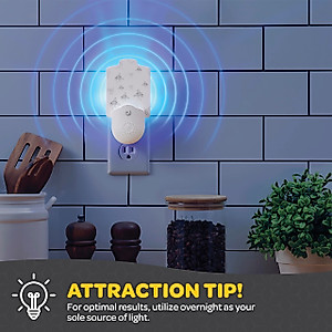 Fly Trap Indoor (2PK) Capture Flies, Moths, Fruit Flies, Gnats, Mosquito Trap, Plug-in Gnat Traps for House Indoor with Attractive UV Light Odor/Mess-Free. 600 Sq Ft Protection (2 Devices + 6 Refill)