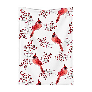 LAKIMCT Cute Winter Cardinal Birds Blanket for Couch Bed Throw Blanket, Aesthetic Decorative Blanket for Travel Camping Comfy Blanket, Full Size Blanket, 30x40 inch