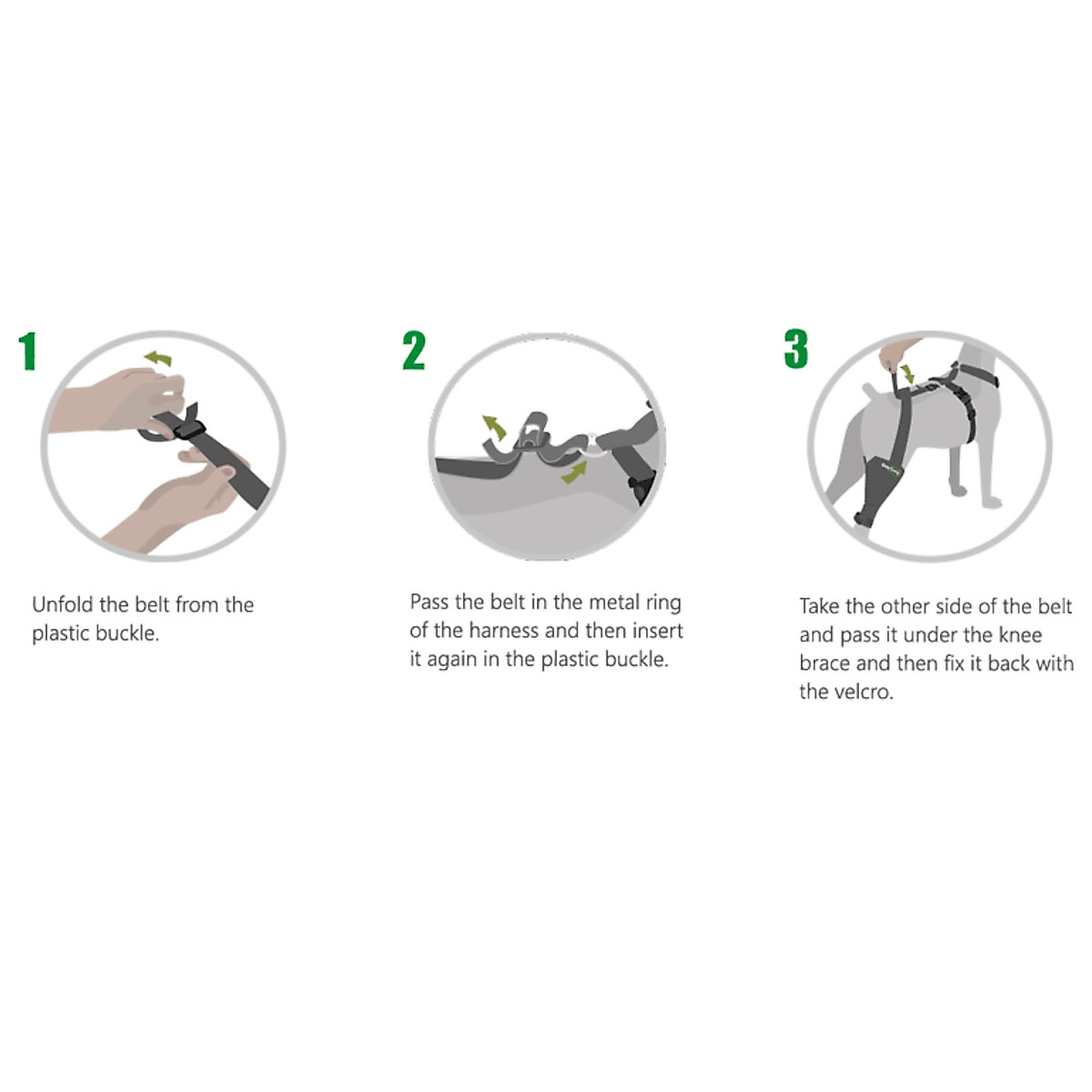 Ortocanis - Knee Brace Fastening Belt for Dog - Prevents Slippage - Improves Stability and Recovery - Size Harness + Leash: L 69-96 cm