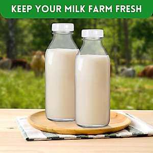 Peryiter 6 Pcs Glass Milk Bottle with Lid Reusable Clear Milk Jar with Lids for Fridge Glass Milk Container for Refrigerator Milk Glass Bottles with 12 Plastic Cap for Juice Honey Maple Syrup (32 oz)