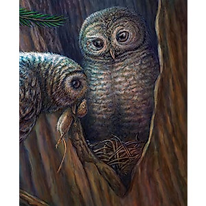 Tall Tall Tree: A Nature Book for Kids About Forest Habitats (A Rhyming Counting Book with STEAM Activities)