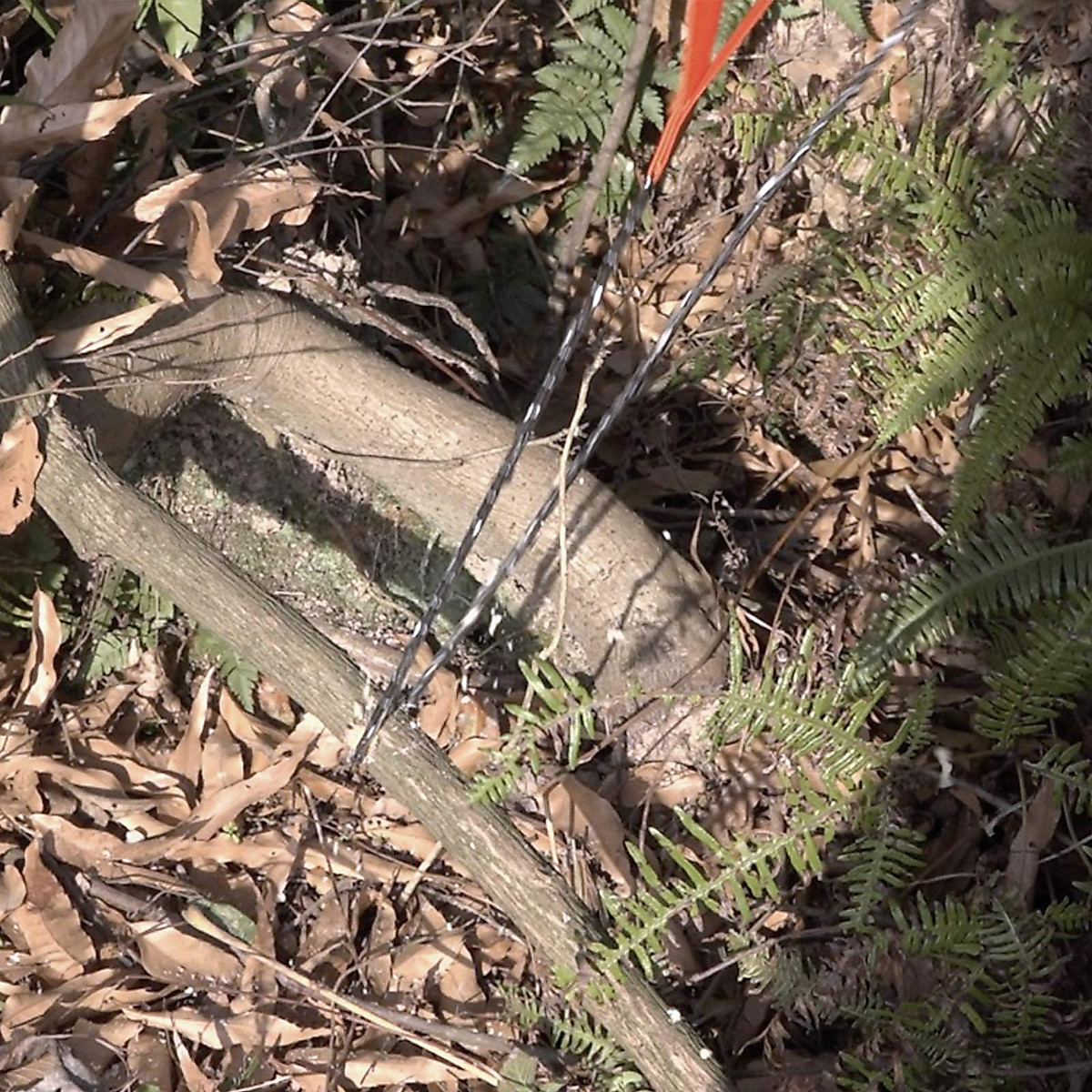 Loggers Art Gens Pocket Chainsaw 36’’-45 Two-sidedTeeth Pocket Chain Saw,3X Faster with Cutting Blade ON Every Link,Best Compact Folding Hand Saw Tool for Survival Gear,Camping,Hunting