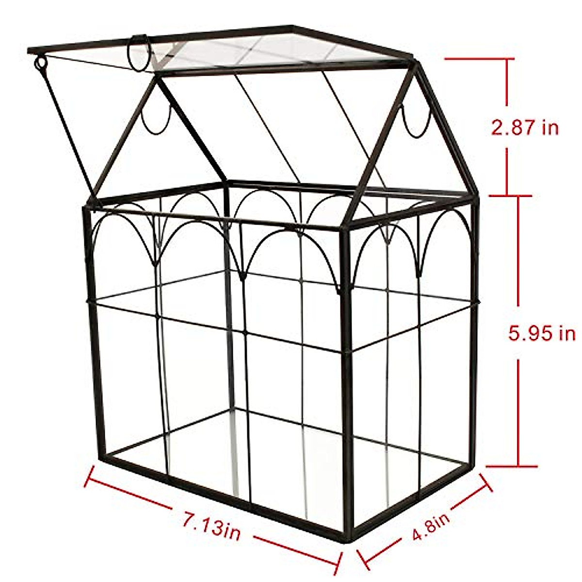 ELEGANTLIFE Glass Geometric Plant Terrarium,Succulent & Air Planter for Home Garden Office Decoration (Black House)