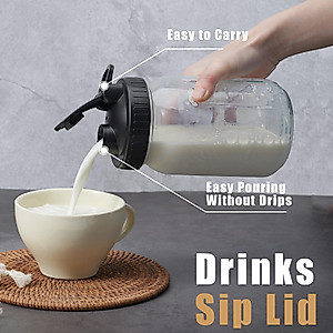 FyndraX Pour Spout Lids for Ball Regular Mouth Mason Jars, Airtight Canning Jar Flip Cap Top Lid for Drinking, Salad, Dressing Pouring, Leak-Proof, Black Pack of 4