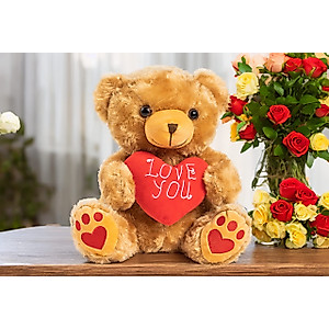 Zillywood 9" Talking Teddy Bear Repeats What You say. Repeating Talking Teddy Bear Gift for her. I Love You Gifts for Valentine's Day, Mother's Day with Removable Plush Heart (Repeating Teddy Bear)