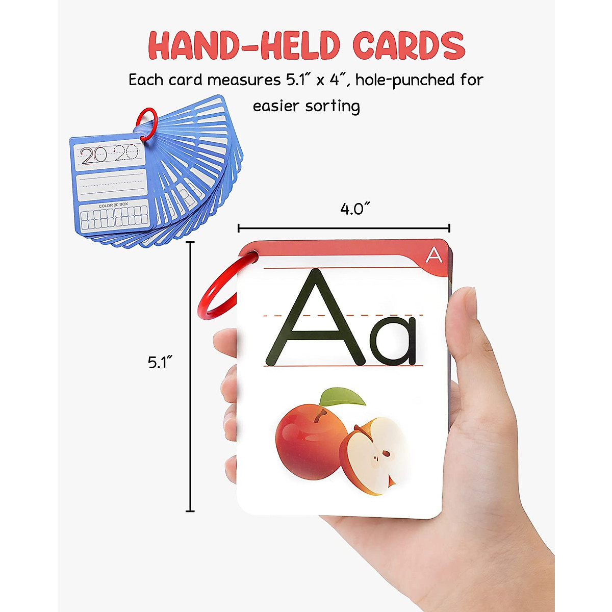 Gamenote Dry Erase Alphabet and Number Flash Cards - Write and Wipe Laminated ABC Letter Tracing Practice Card for Kindergarten (47 Flashcards with 2 Rings and Marker)