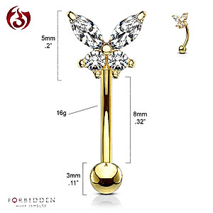 Forbidden Body Jewelry 16g 8mm Curved Barbell for Daith, Eyebrow, Rook & Belly Button w/CZ Butterfly Top, Clear/Gold Tone