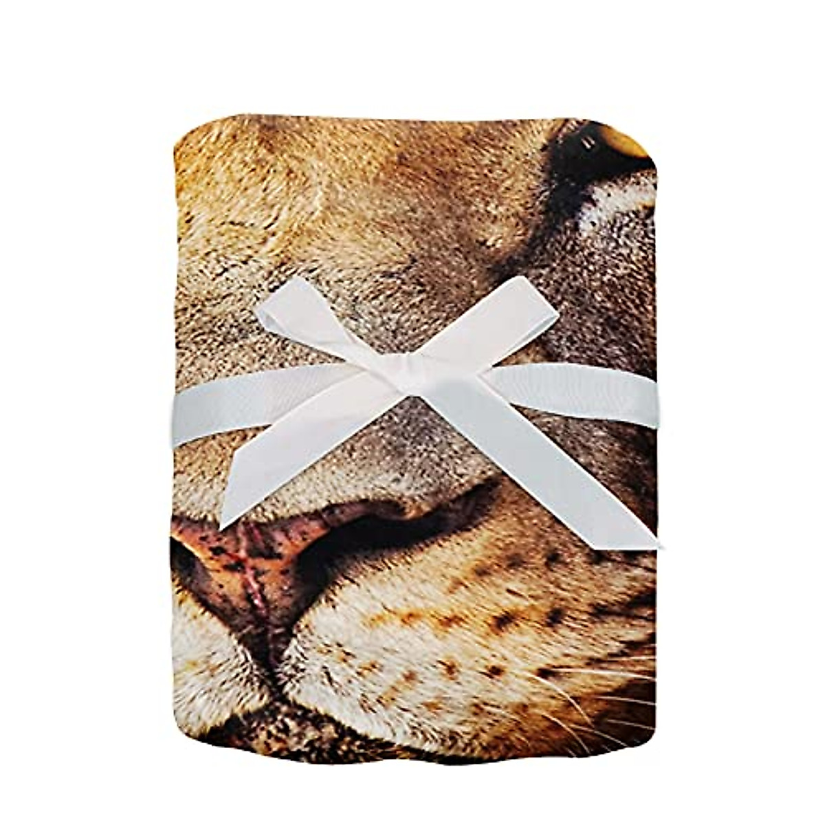 Britimes Lion Fuzzy Flannel Throw Blankets, Soft Blankets and Throws, Daughter Mom Friend Gift Lion Print Decorative Throw Blankets for Couch, 60"X80"