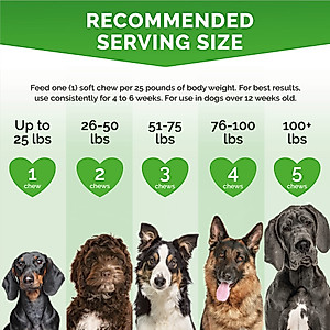 Premium Care Cranberry Bladder Chews - Dog Supplements for Urinary Tract (UT) Health, Bladder and Kidney Support - Cranberry Chewables with Vitamins for Better Bladder Control for Dogs - 120 Chews