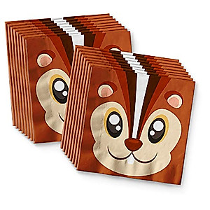Squirrel Birthday Party Supplies Set Plates Napkins Cups Tableware Kit for 16