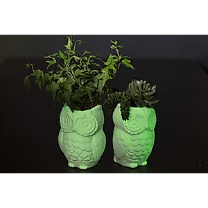 Rust-Oleum 342598 Glow in The Dark Spray Paint, 10 oz