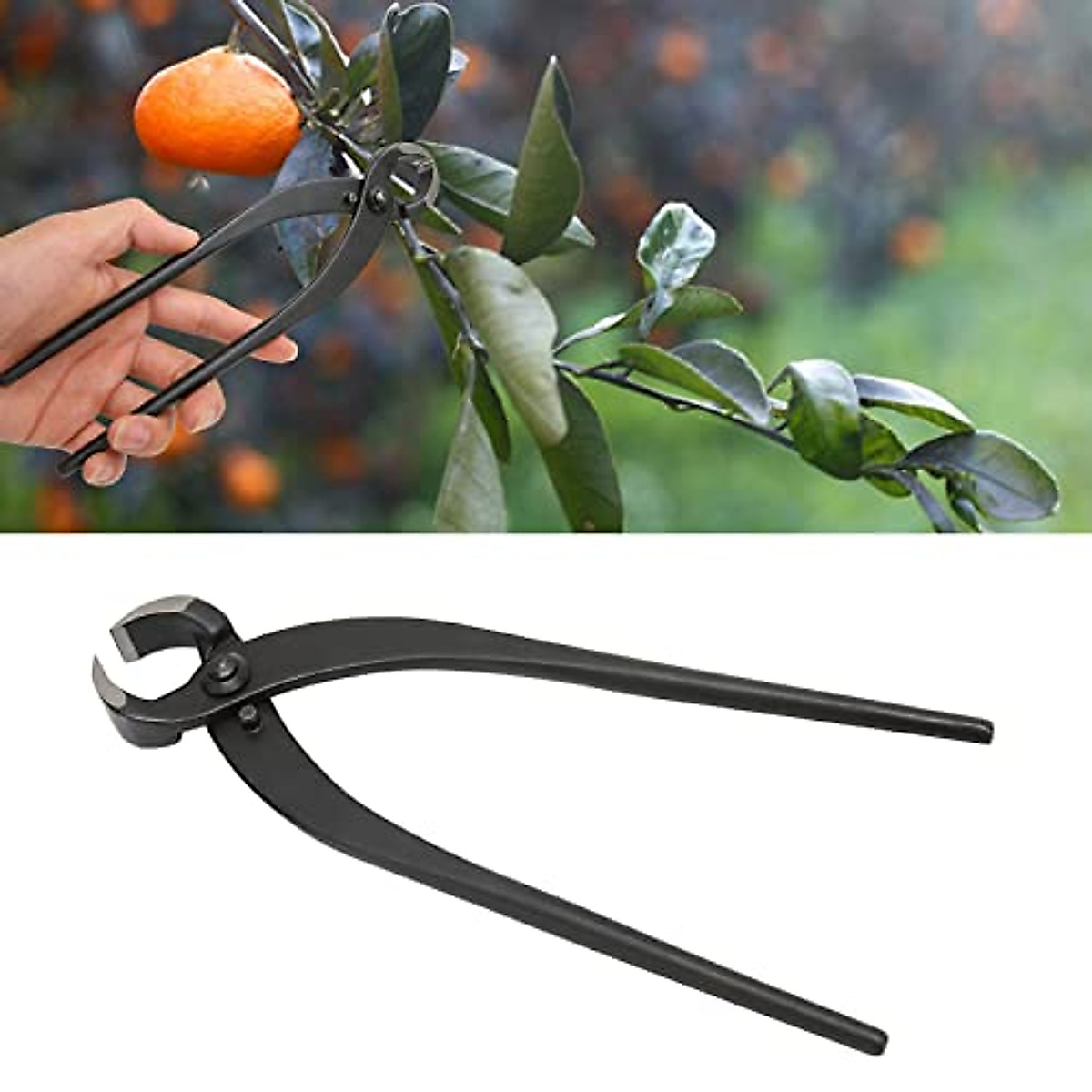 MIGONG Bonsai Knob Cutter, Professional Branch Cutter Manganese Branch Cutting Tool for Even Flowers Fruit Trees Bonsai Garden Plants House Plants 8.3In