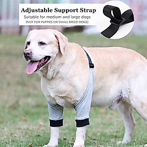 QUEBRAN Dog Elbow Protector for Calluses, Dog Recovery Sleeves for Front Legs, Dog Leg Joint Sleeve Protective Elbow Pads with Elastic Band, Dog Pants to Prevent Licking Wounds (Grey, Medium)