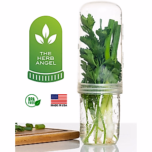 The Herb Angel Mason Jar Herb Lid - Fresh Herb Keeper - Herb Saver Pod for Cilantro, Parsley, Basil, Chives, Mint and More - Herb Storage Container for Refrigerator