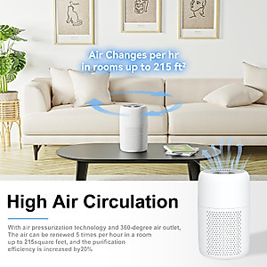 4 Pack TPLMB P60 Air Purifier Replacement Filters,Three-in-One Nylon Pre-Filter,True HEPA Filter,High-Efficiency Carbon Filter,P60-RF (white)