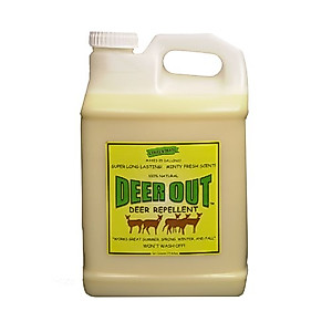 Deer Repellent: Deer Out Deer Repellent 2 1/2 Gallon Concentrate