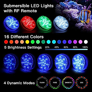 Underwater Set for Home Kitchen Garden Christmas