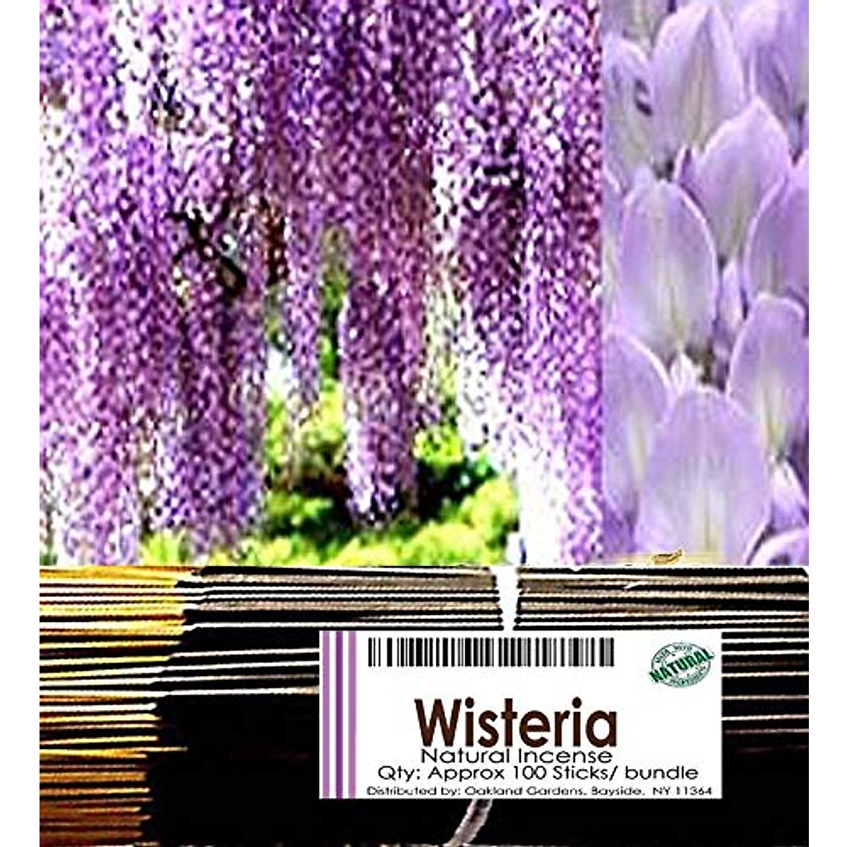 Natural Premium Incense By Oakland Gardens (W) Wisteria Incense - Intoxicating Sweet Fragrance of Wisteria Blooms with Lilac Flowers and Japanese Honeysuckle Wisteria (100 Sticks)