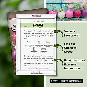 Sow Right Seeds - Easter Egg Mix Radish Seed for Planting - Non-GMO Heirloom Packet with Instructions to Grow an Outdoor Home Vegetable Garden - Multi Color, Fast Growing - Red, Purple, and White (1)
