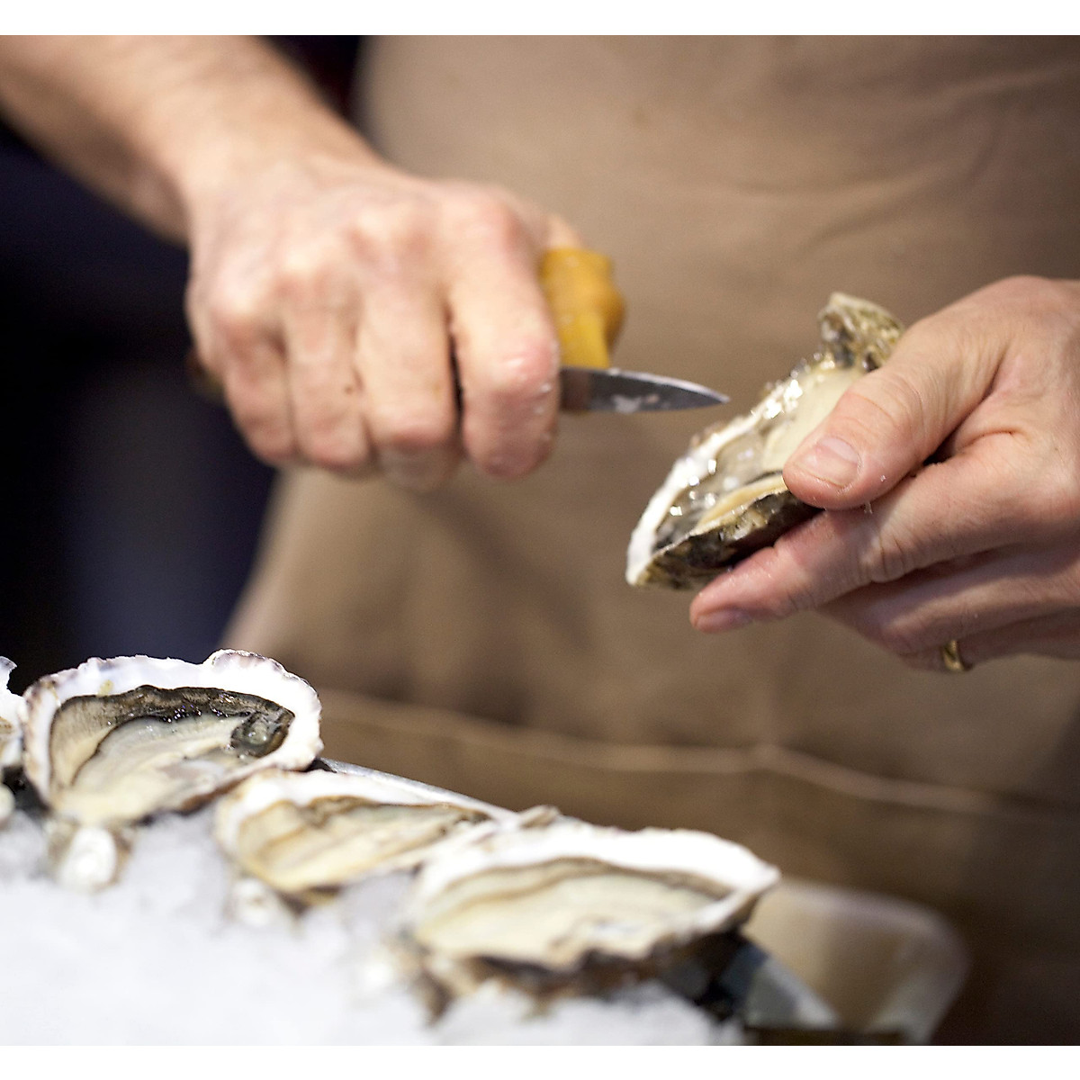 SEJONG COOK Oyster Shucking Knife, Commercial Grade Clam and Shellfish tool With Ergonomic Grip And Wood Handle, Good For Home Restaurant Kitchen And Outdoor (2.5T Stainless Steel)