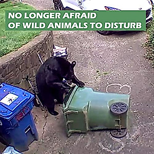 Trash Can Lid Lock,Trash Can Lock for Litter Prevention,Durable Nylon Coated Wire Rope&Stainless Steel Trash Lock, Keep Environment Clean ,Universal Fit(4Pack)