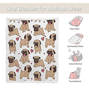 Sleepwish Pug Blanket for Kids Adults Pug Fleece Blanket for Boys Soft Girl Fuzzy Throw Blanket Cute Dog Blanket Animal Pattern Sherpa Plush Blanket for Women Pug Lover (50"x 60")
