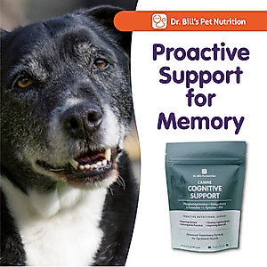Dr. Bill’s Canine Cognitive Support | Memory Support Supplement Multivitamin for Dogs | Contains Gingko Biloba, L-Carnosine, Vitamin B-12, L-Glutamine, L-Tyrosine, and DHA for Adult and Senior Dog